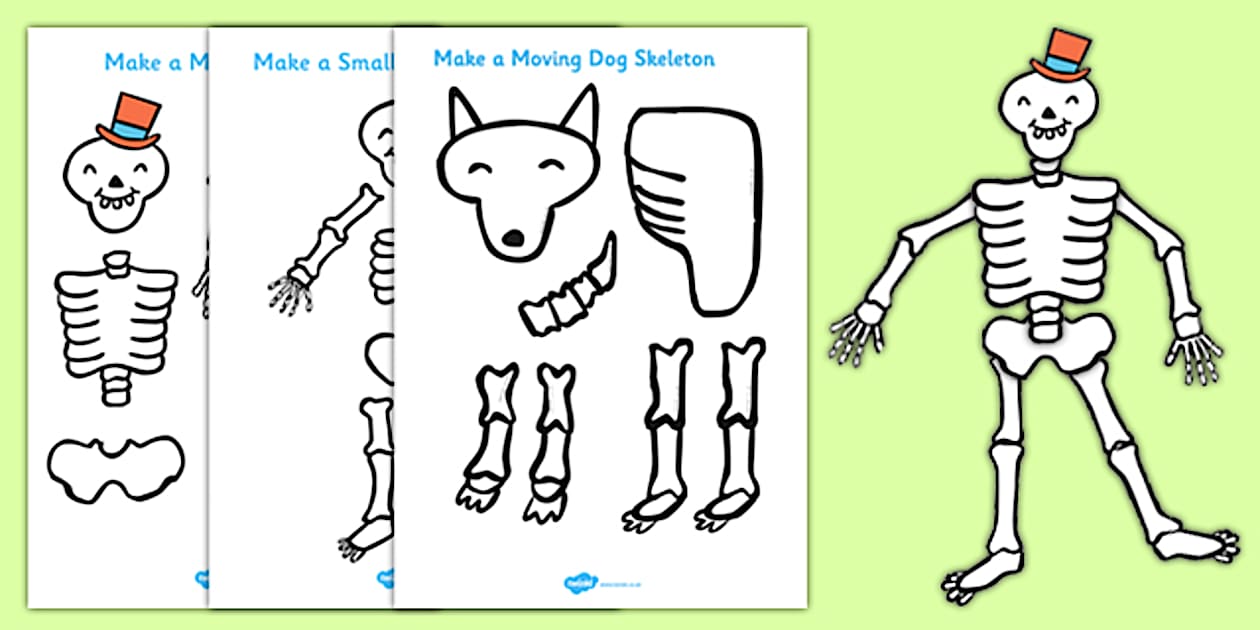 Make a Moving Skeleton | Support Teaching on Funnybones