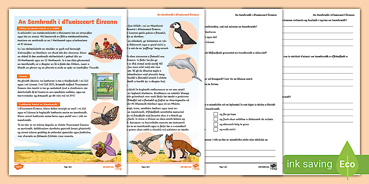 An Samhradh i dTuaisceart Éireann Triail Tuisceana - Twinkl