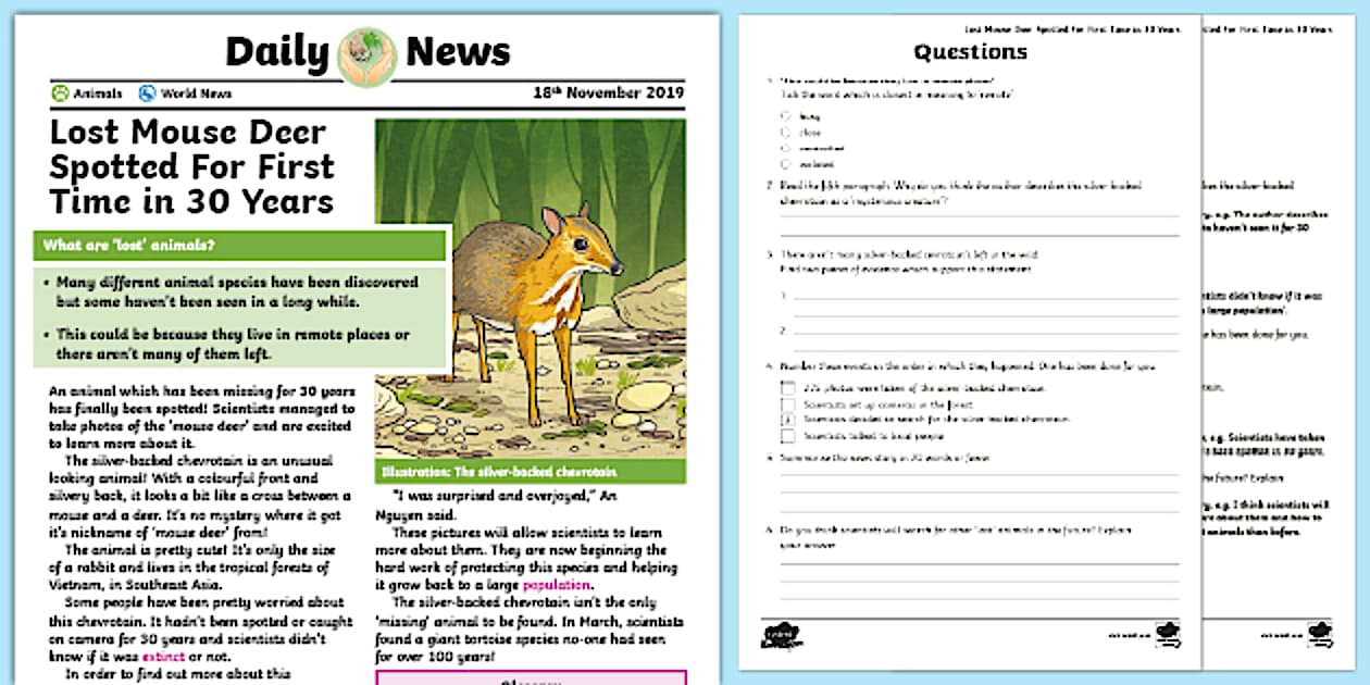 UKS2 Mouse Deer Spotted Daily News Story (teacher made)