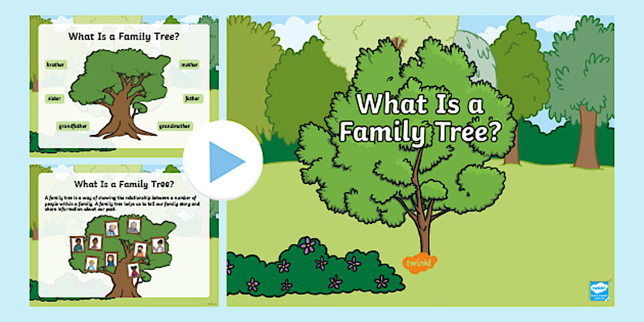 Family Tree Ideas PowerPoint | Twinkl (teacher made)