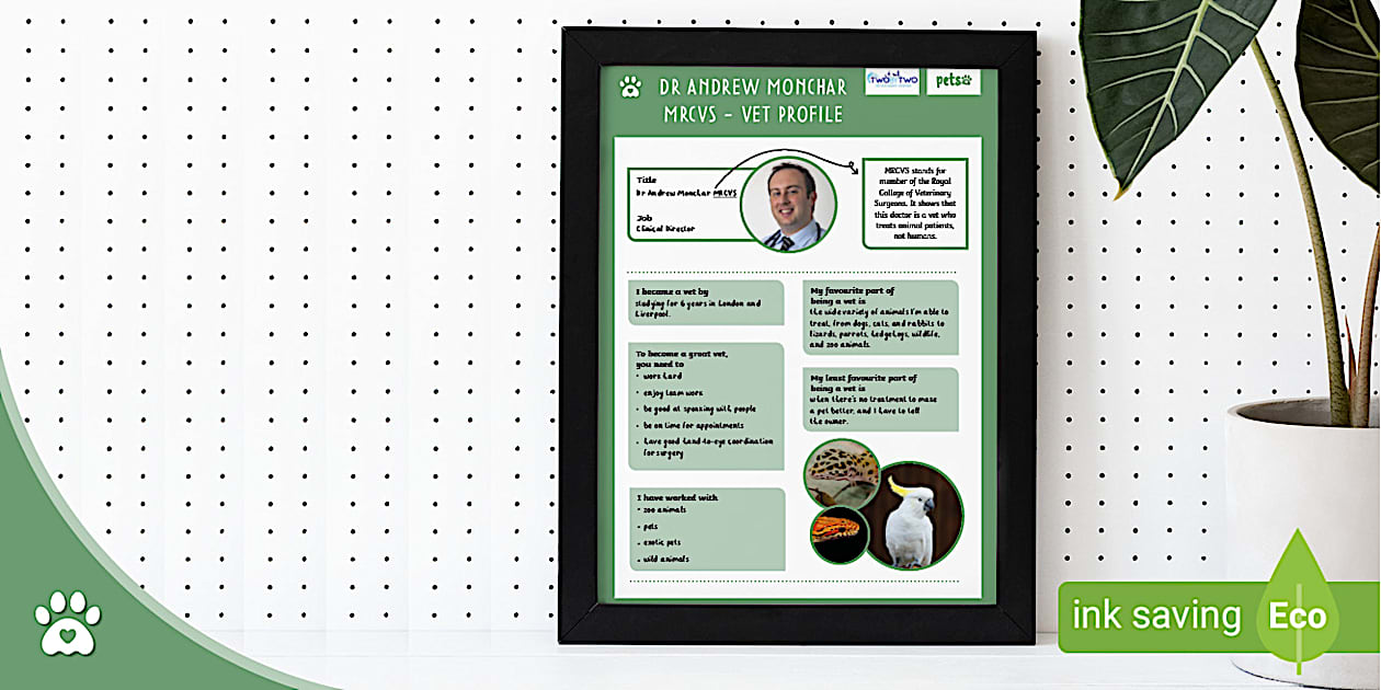 Dr Andrew Monchar MRCVS - Vet Profile - Vets - Twinkl Pets