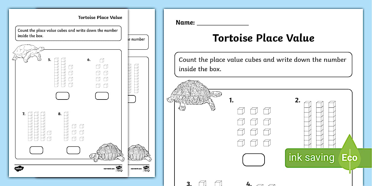 Tortoise Place Value Activity Sheet (teacher made) - Twinkl