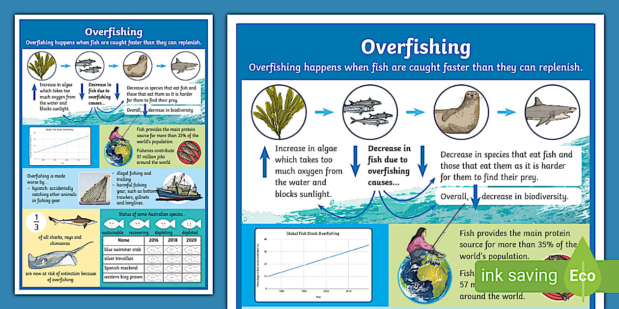 Overfishing Infographic | Sustainability Resources - Twinkl