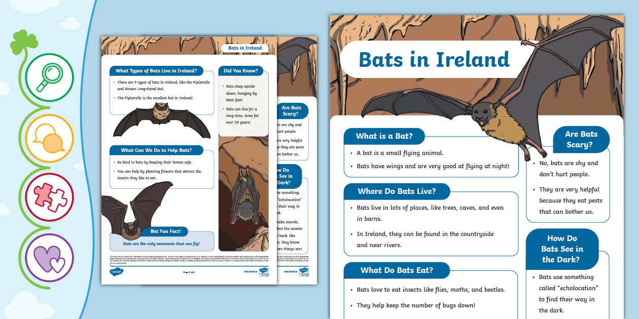 Bats in Ireland Fact File (teacher made) - Twinkl