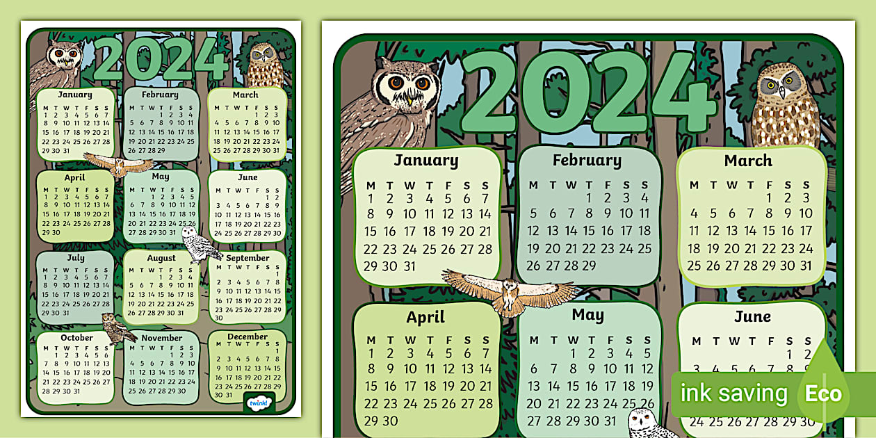 Owl-Themed 2024 Wall Calendar Poster (teacher made) - Twinkl