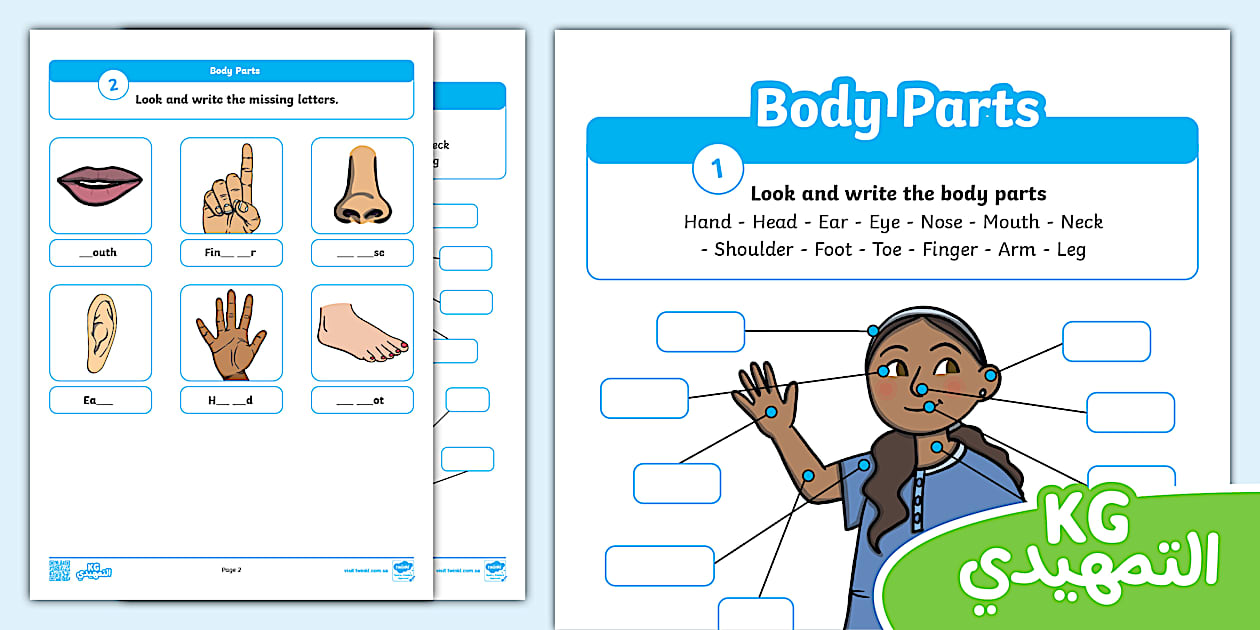 My Body Science Day | Body Parts Activity Sheet | KS1