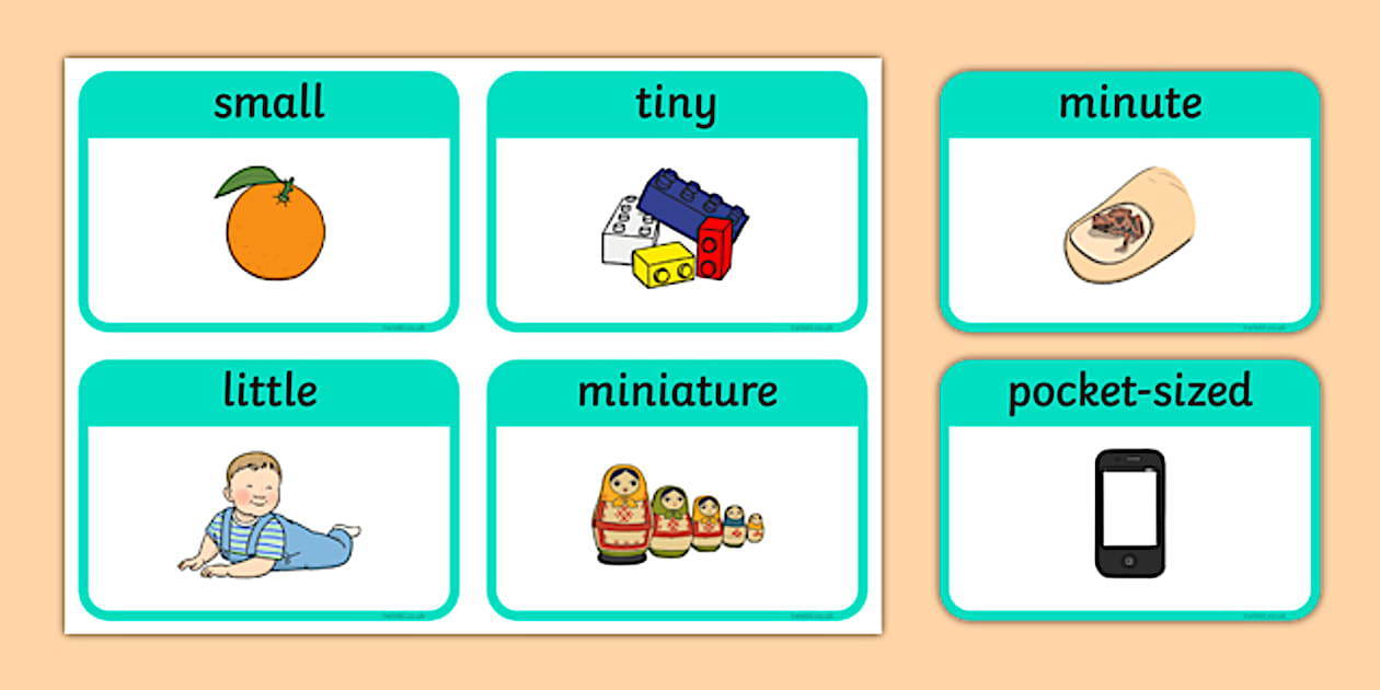 Diminutives Flashcards (teacher made) - Twinkl