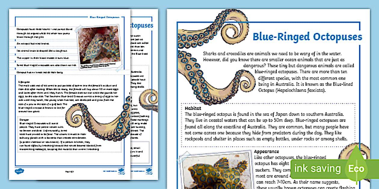 Blue-Ringed Octopus Fact File (teacher made) - Twinkl