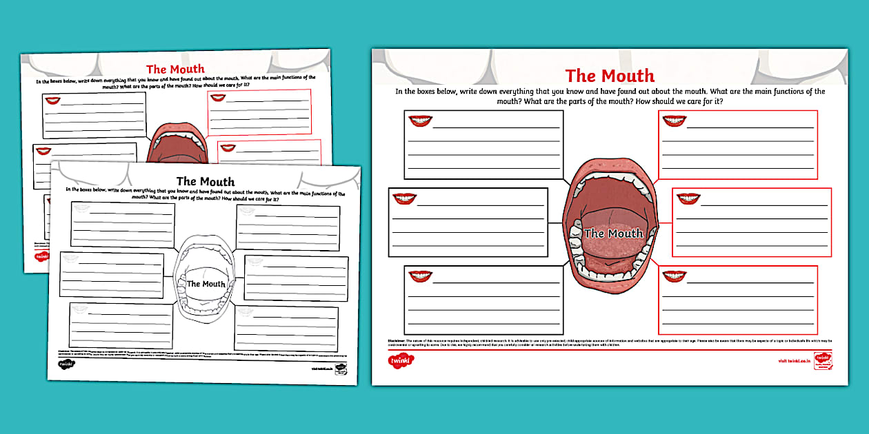 The Mouth Mind Map (teacher made) - Twinkl