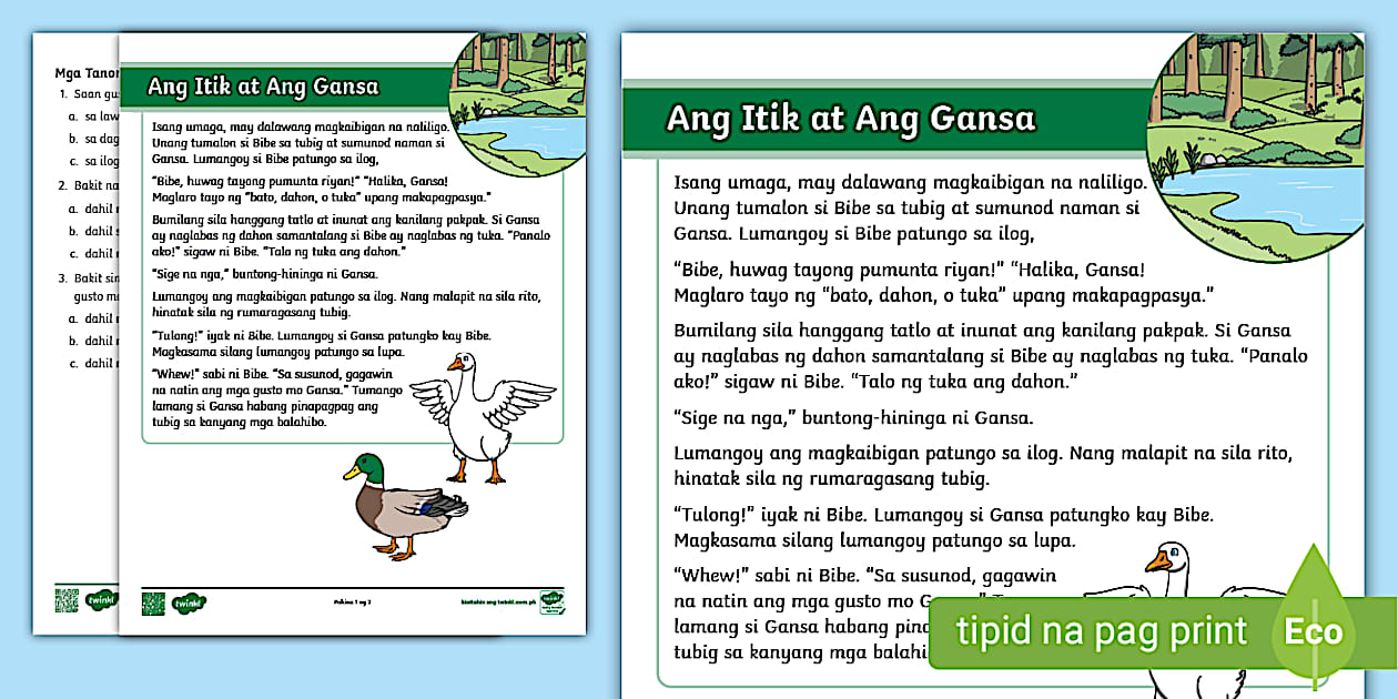 Pagbasa at Pag-unawa: Ang Itik at Ang Gansa | Twinkl