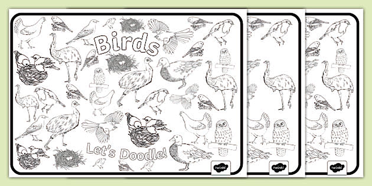 Birds Doodle Colouring Pages - Twinkl - KS1 (Teacher-Made)