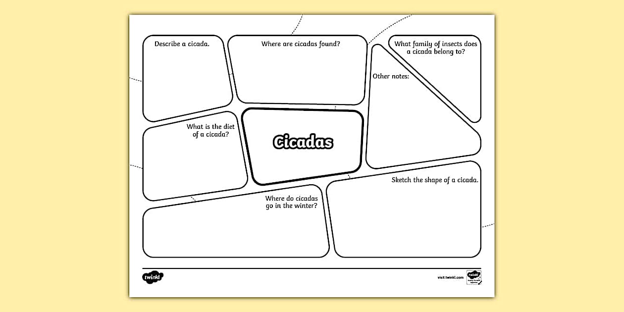 Cicadas Mind Map Worksheet for 6th-8th Grade (teacher made)