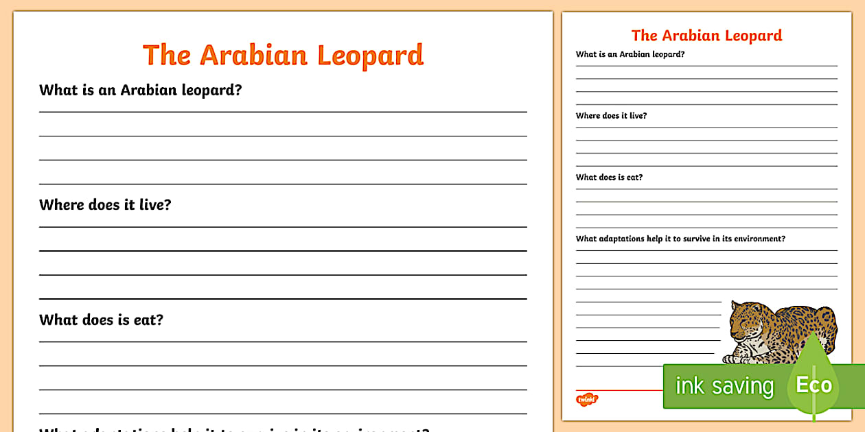 Editable Arabian Leopard Writing Template (teacher made)