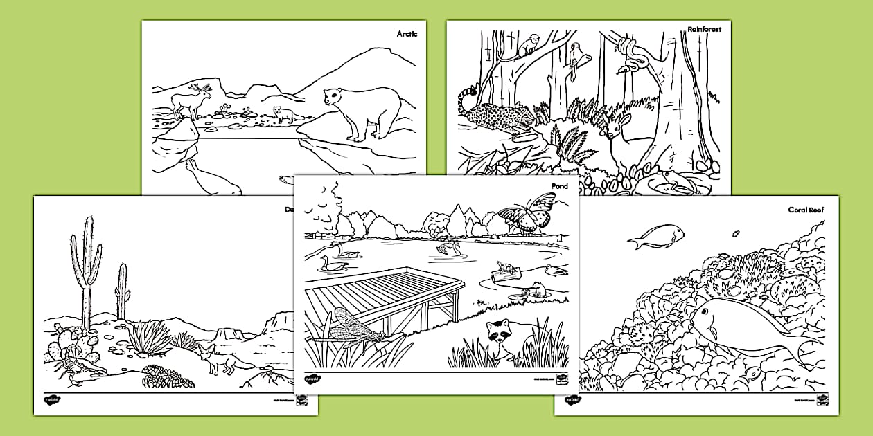Habitat Coloring Pages (Teacher-Made) - Twinkl