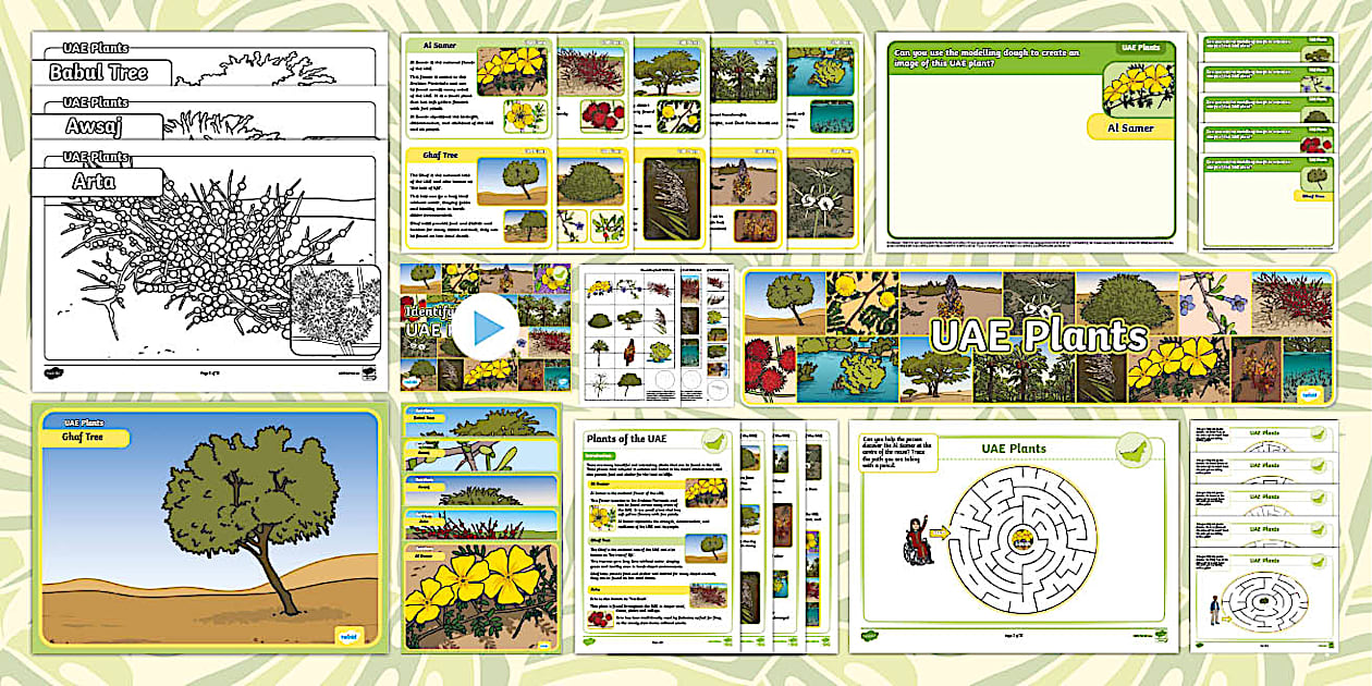 UAE Plants - Resource Pack - Lower Primary (teacher made)