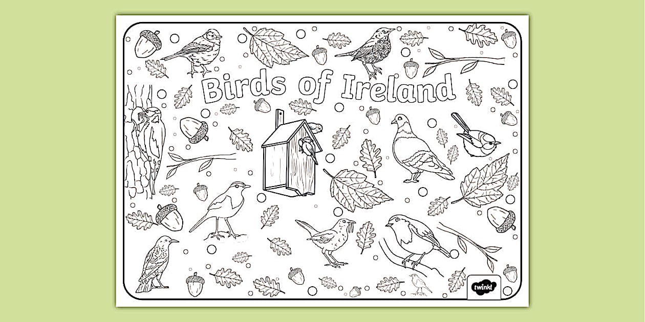 Birds of Ireland Doodle Colouring Page - Twinkl