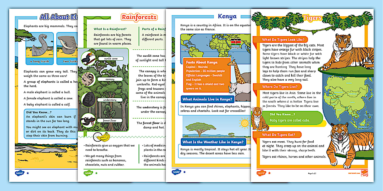 KS1 We're Going On Safari! Bumper Reading Comprehension Pack