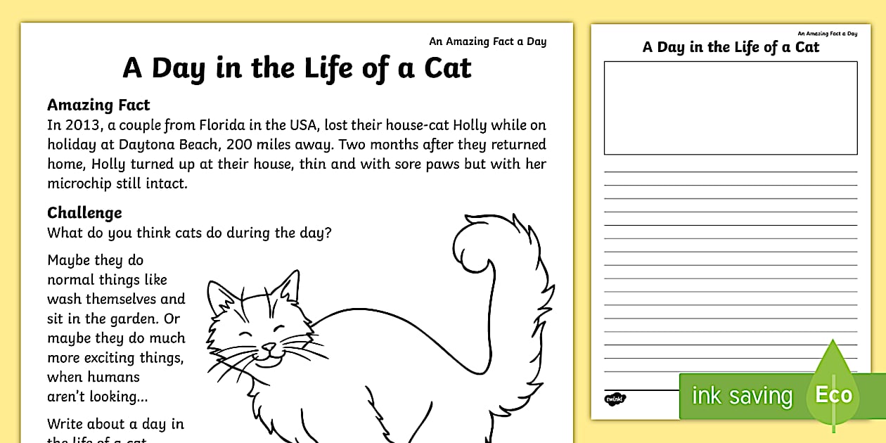 Cat Story Ideas Worksheet - Primary Resource - Twinkl