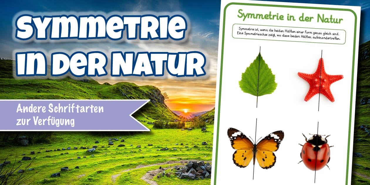 Symmetrie in der Natur - Schild