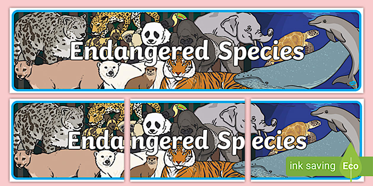 Endangered Species Display Banner (Teacher-Made) - Twinkl