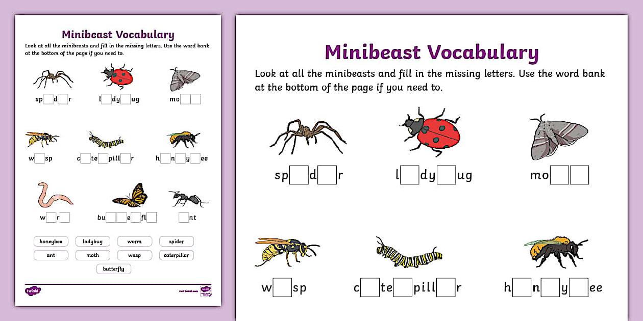 Minibeast Vocabulary KS1 (teacher made) - Twinkl