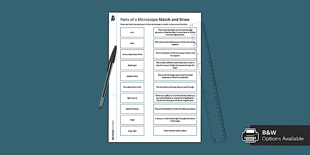 Parts of a Microscope Match and Draw | KS3 Science | Beyond