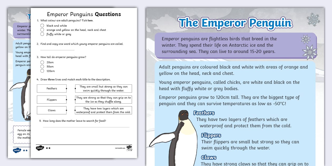 KS1 Emperor Penguin Reading Comprehension Worksheet - Twinkl