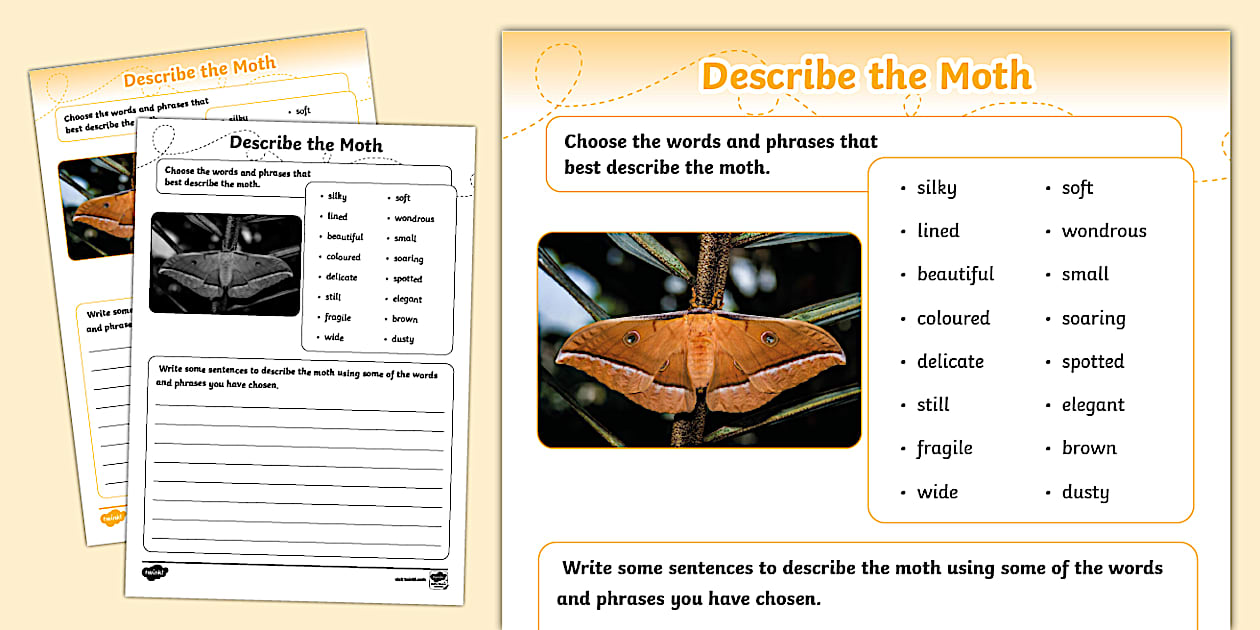 Describe the Moth Worksheet (teacher made) - Twinkl