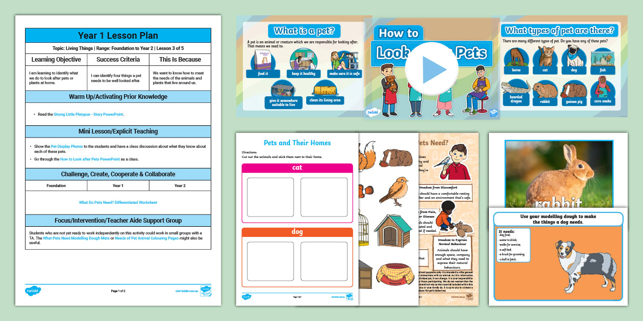 Year 1 Inclusion Living Things Differentiated Lesson Plan 3