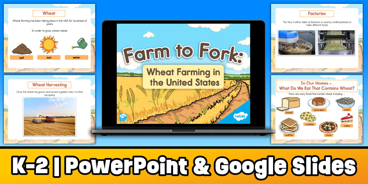 Farm to Fork: Wheat Farming in the United States PowerPoint & Slides