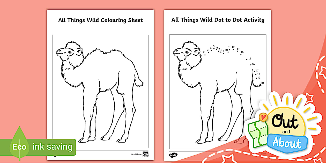 All Things Wild Activity Pack | Out and About (teacher made)