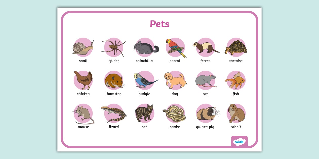 Pets Word Mat - Children's Teaching Resource - Twinkl
