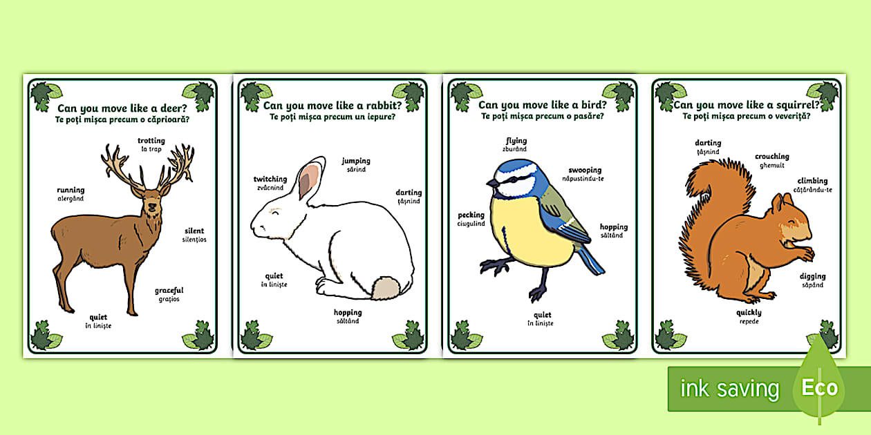 Woodland Animal Movement Cards English/Romanian - Twinkl