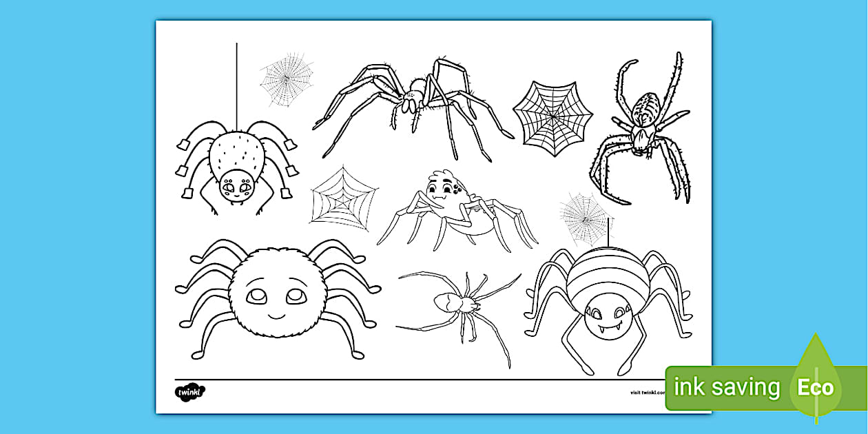Spider Doodle Colouring Page (teacher made) - Twinkl