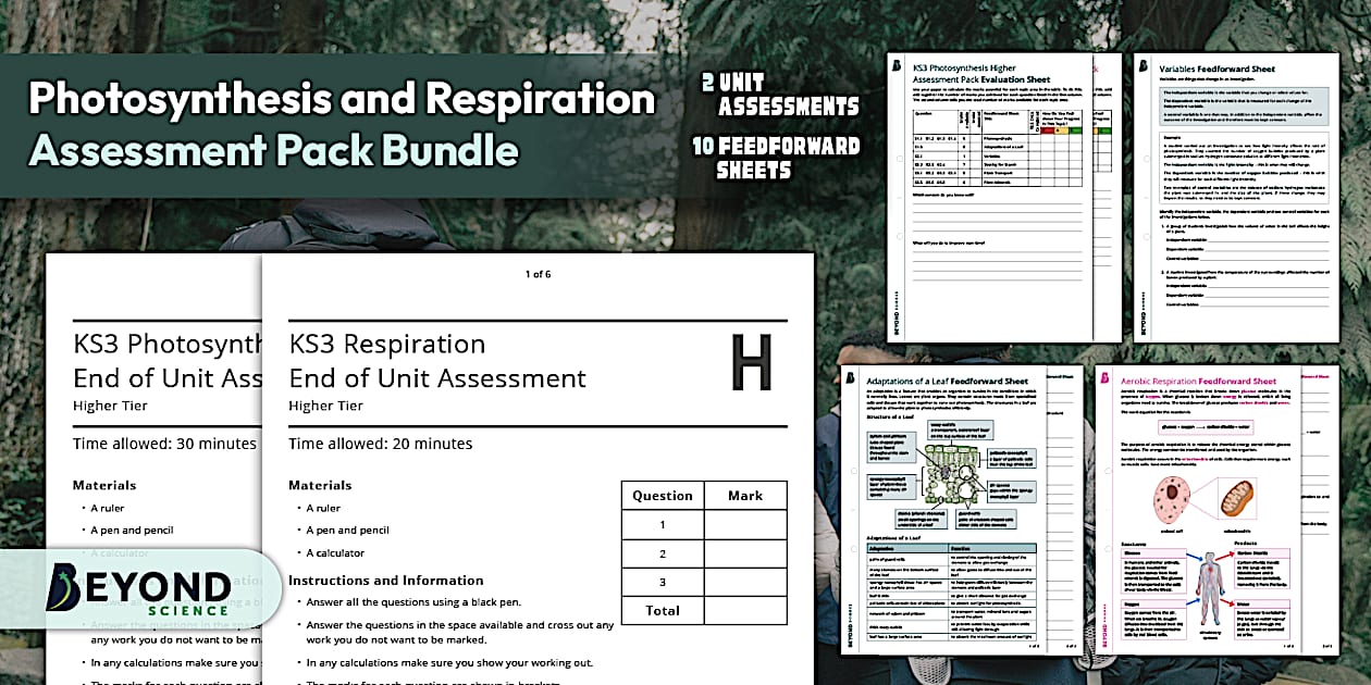 KS3 Photosynthesis and Respiration Assessment Pack Bundle