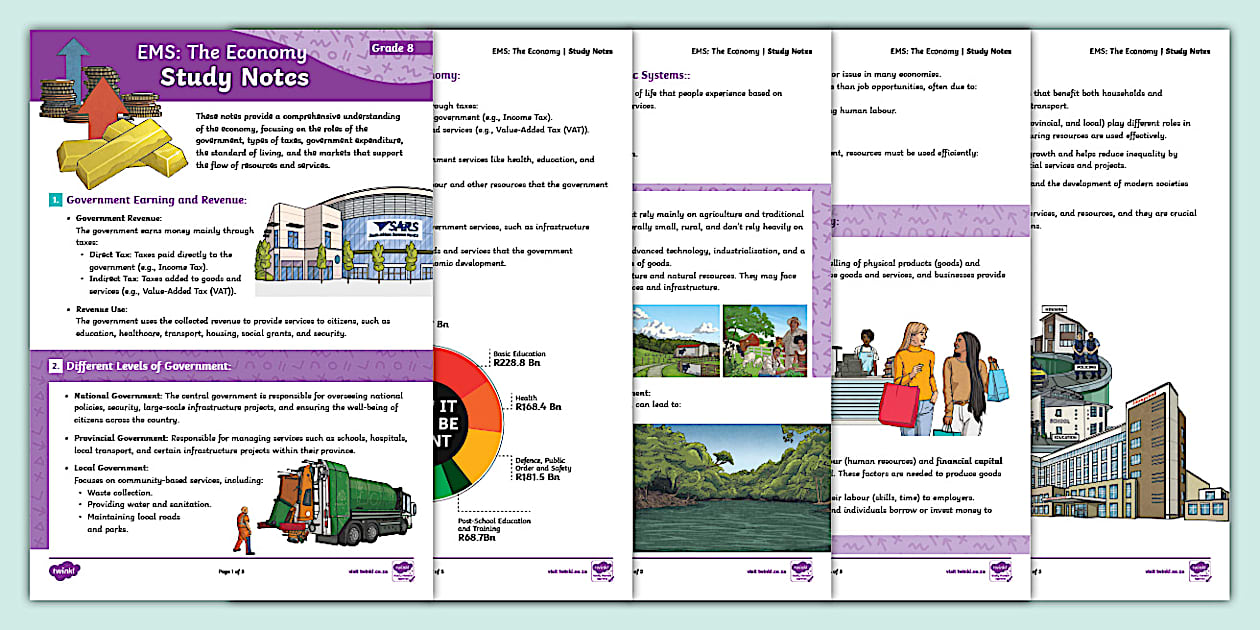 The Economy Grade 8 Study Notes Term 2 (teacher made)