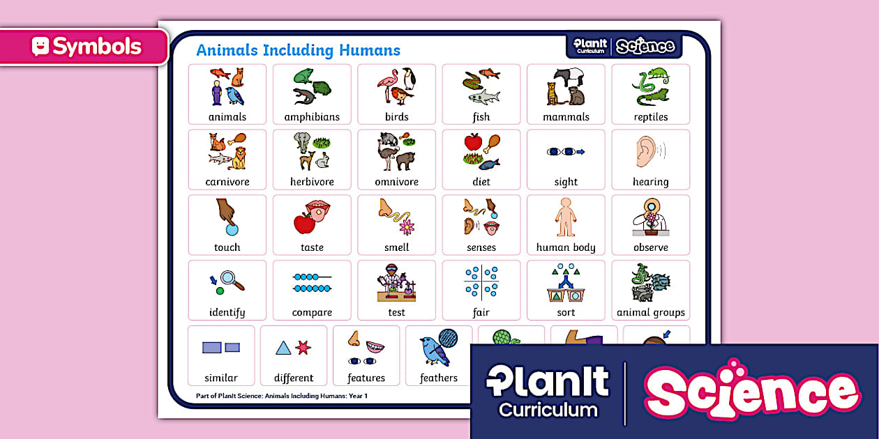 Twinkl Symbols: Animals Including Humans: Year 1: AAC Mat