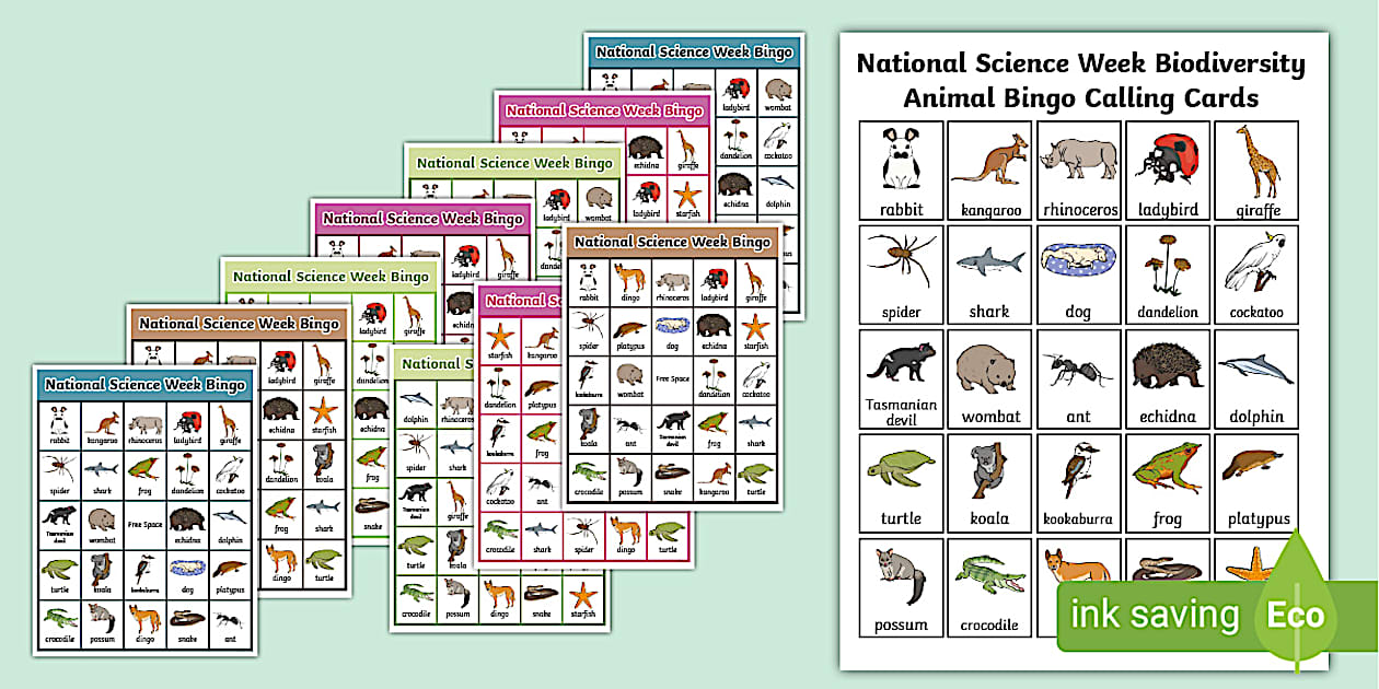 National Science Week - Biodiversity Animal Bingo - Twinkl