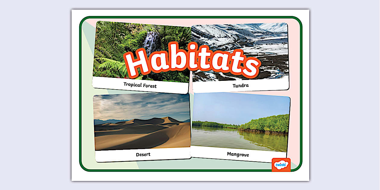 Animal Habitats Photo Display Poster (teacher made) - Twinkl