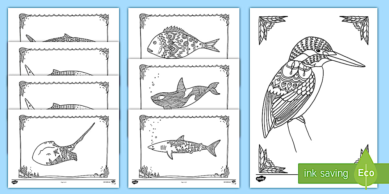 New Zealand Native Sea Creatures Mindfulness Colouring Pack
