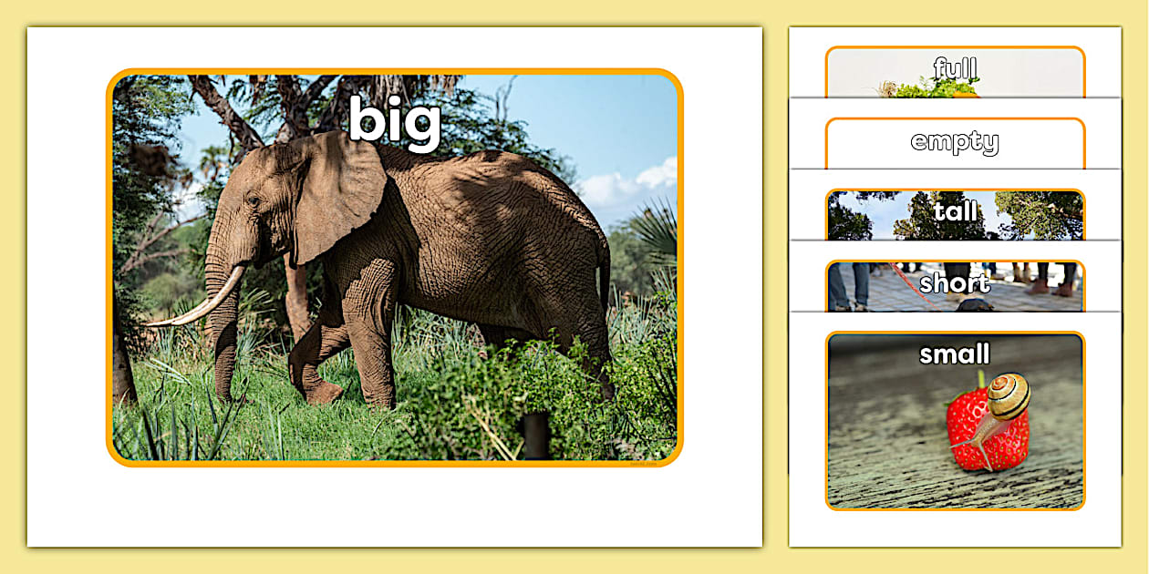 Opposites Photo Pack (teacher made) - Twinkl