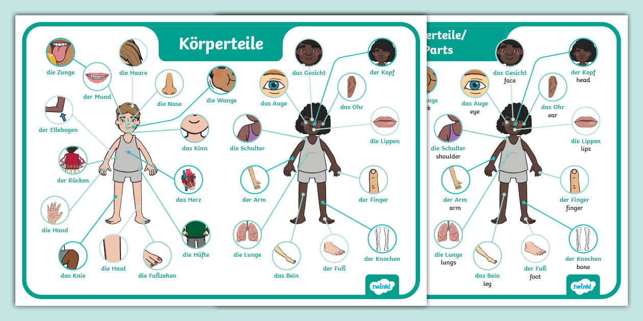 Body Parts Word Mat German (teacher made) - Twinkl