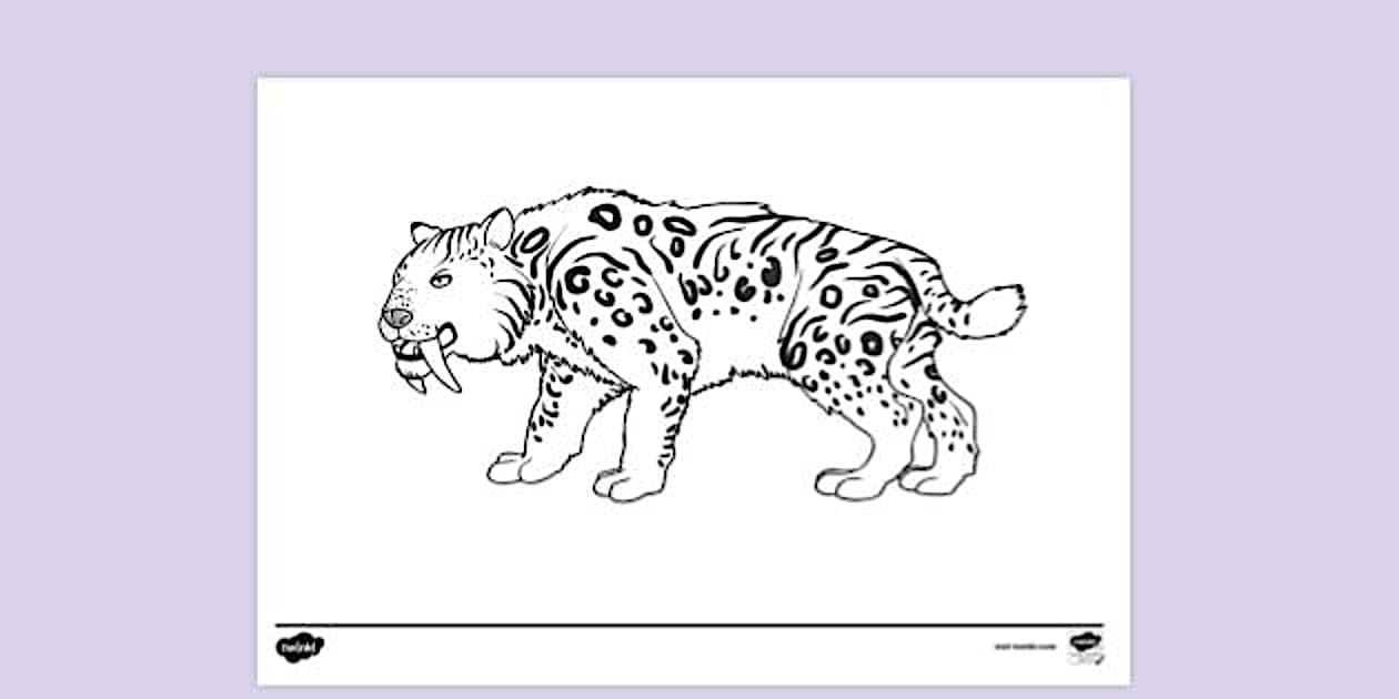 saber tooth cat Colouring | Colouring Sheets (teacher made)