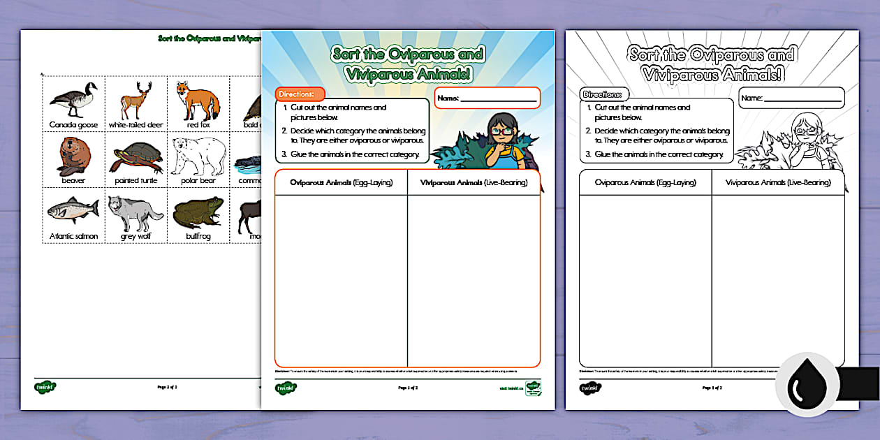 Oviparous & Viviparous Canadian Animals Sorting Sheet