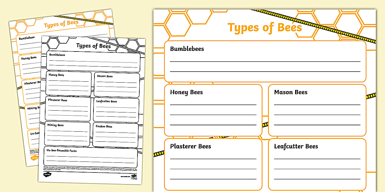 Types of Bees Fact File Template (teacher made) - Twinkl