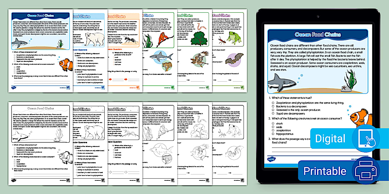 Second Grade Food Chain Reading Passage Comprehension Pack