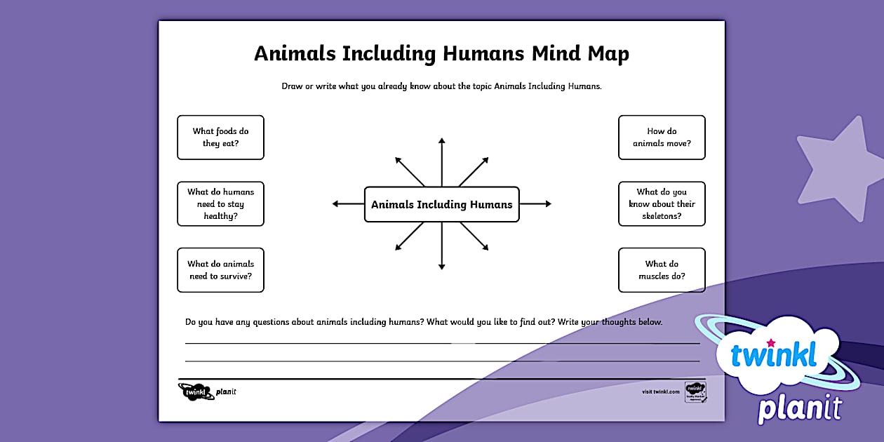 Year 3 Animals Including Humans Mind Map (teacher made)