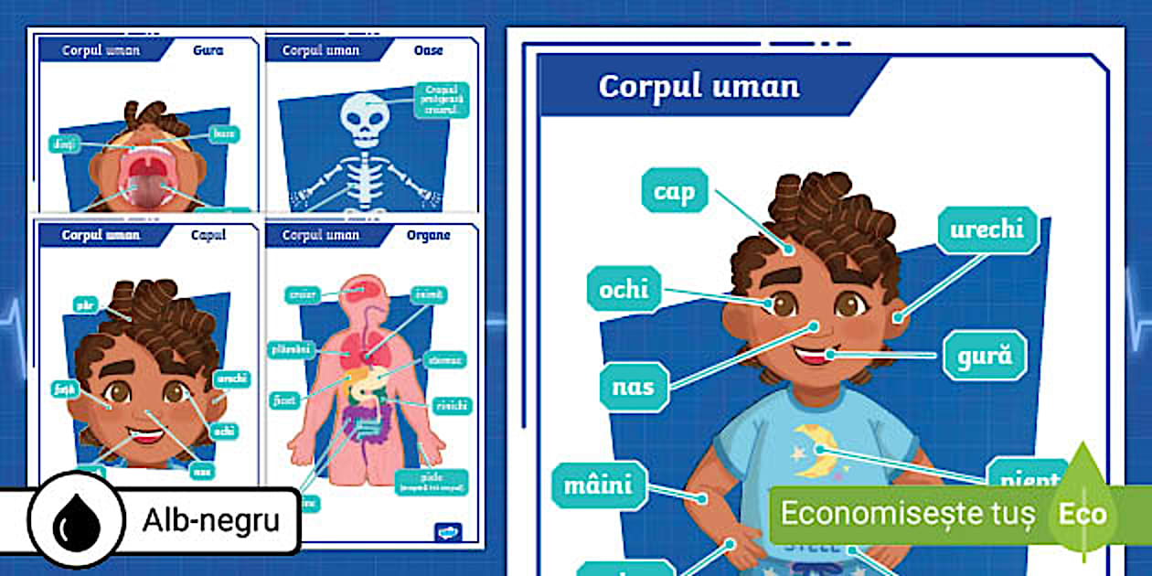 Original Explorers: Corpul uman | Organe | Părțile corpului
