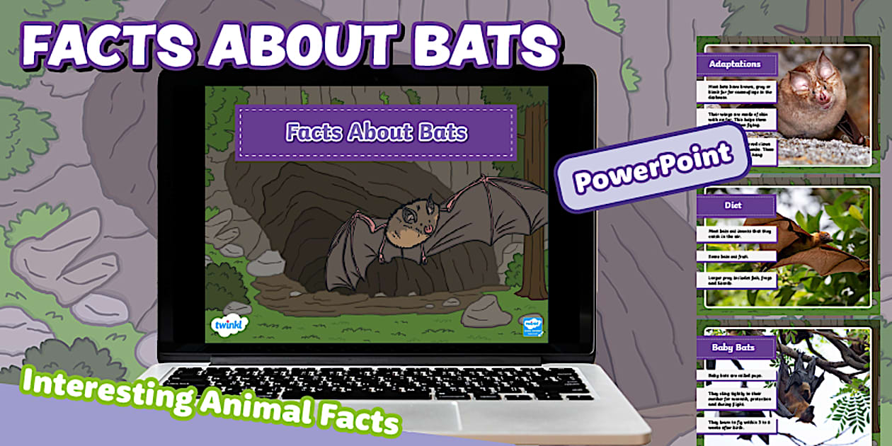Facts About Bats PowerPoint - KS1 - Twinkl