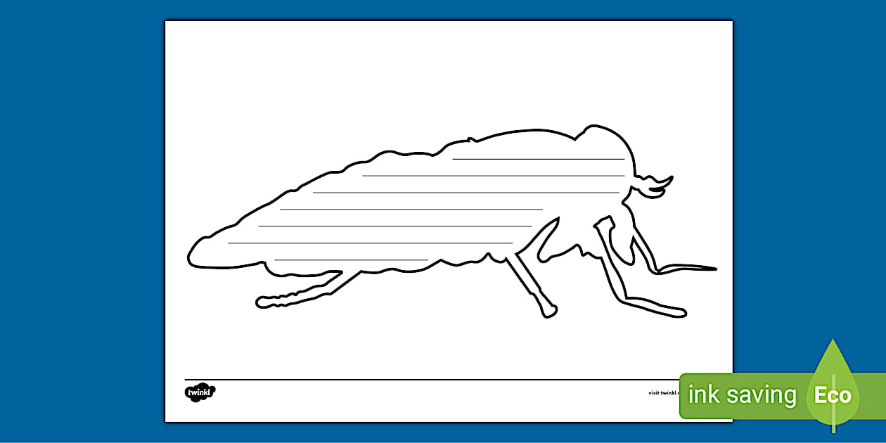 Fly Writing Template (teacher made) - Twinkl